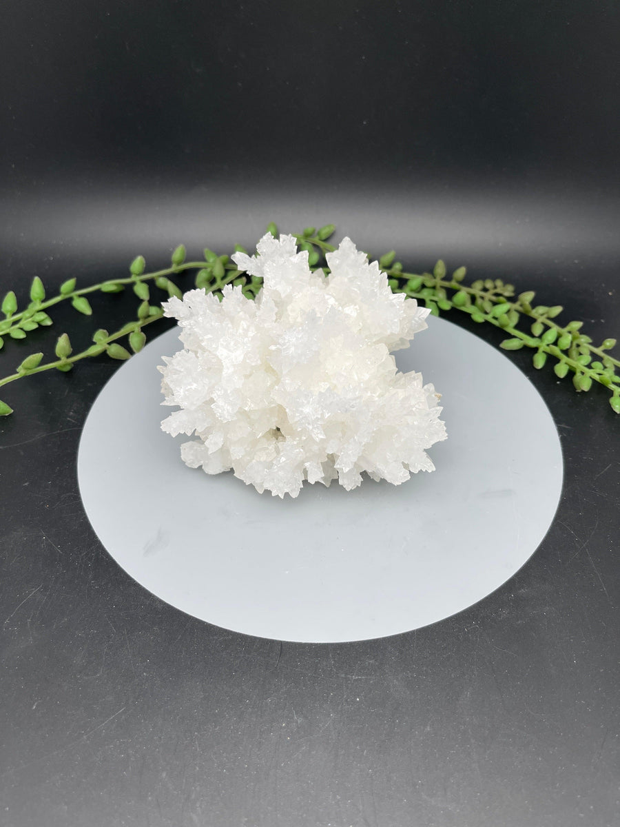 Crystals & Points – Natural Collective LLC