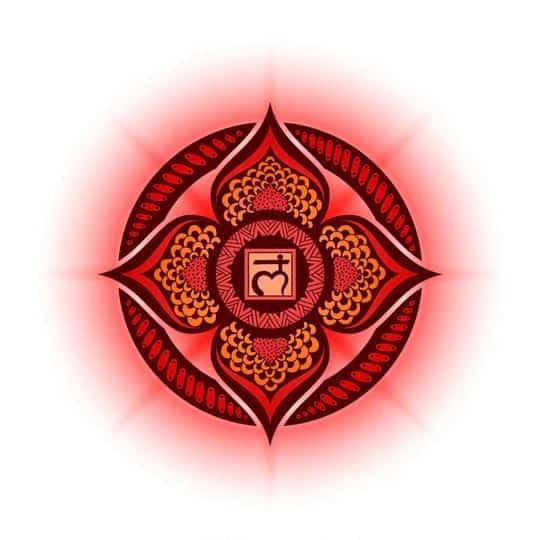 Root Chakra Lotus Flower | Best Flower Site