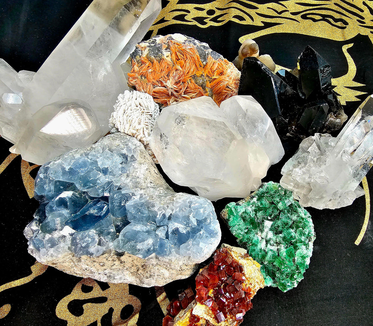 Specimens – Natural Collective LLC