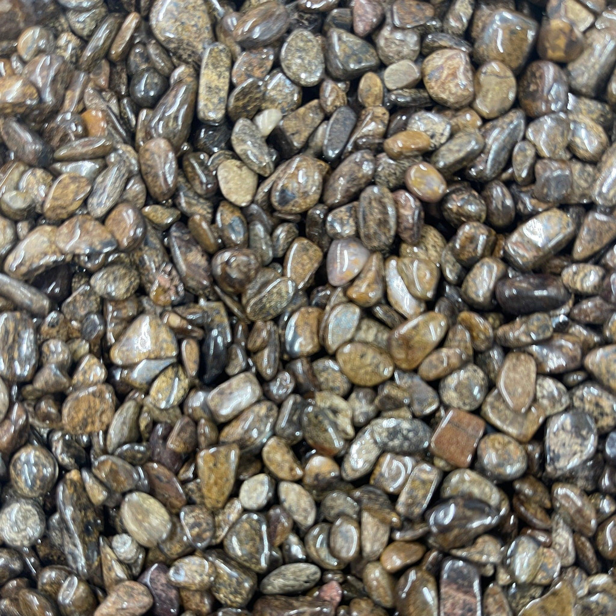 Bronzite Chips – Natural Collective LLC